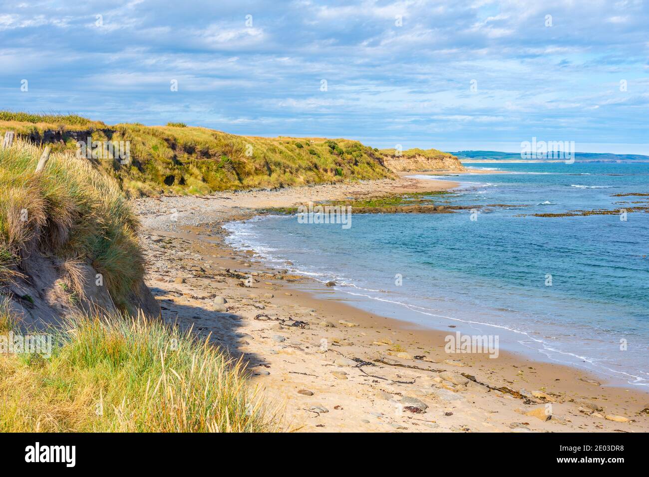 Otara new zealand hi-res stock photography and images - Alamy
