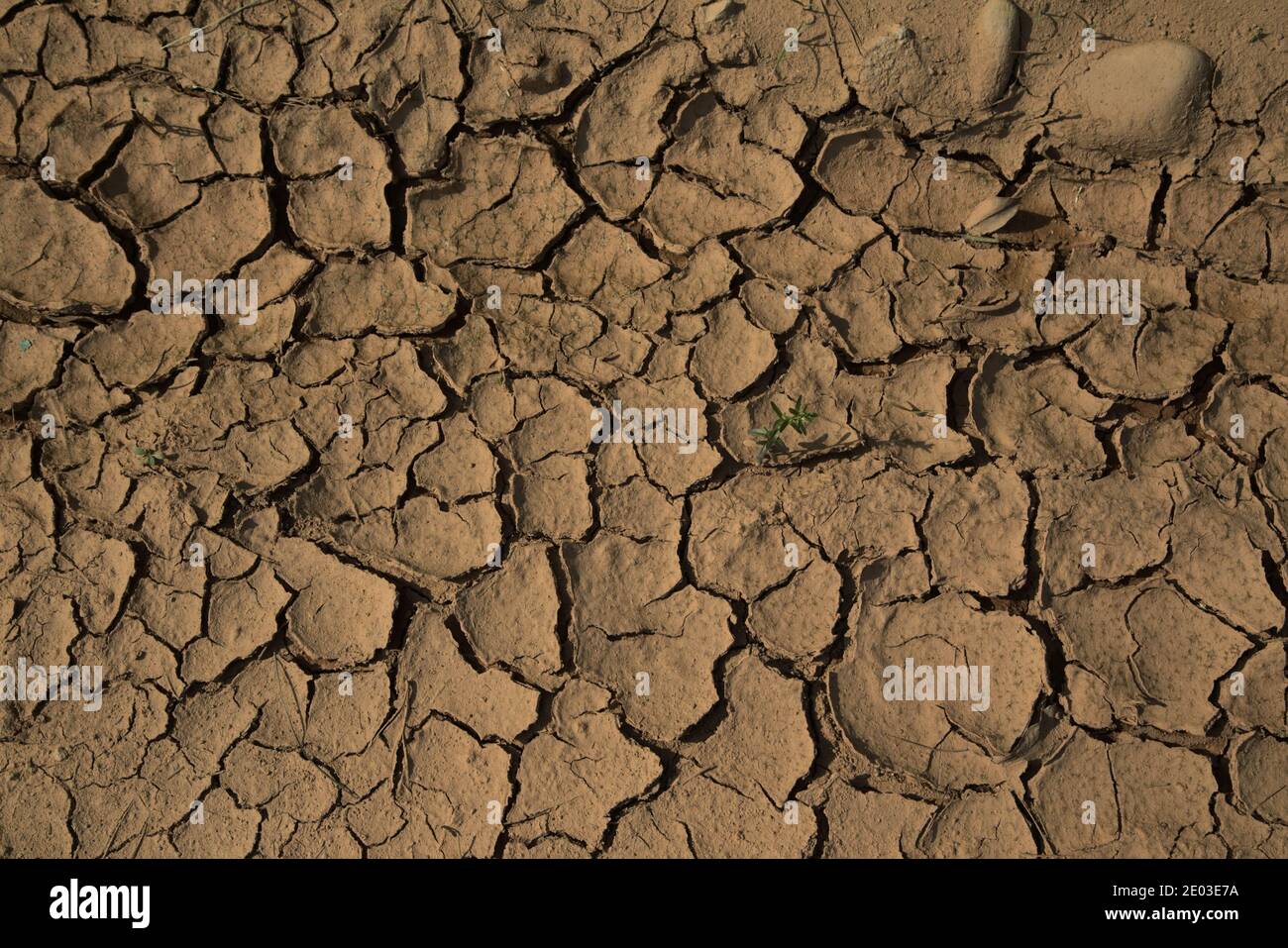 Drought cracked ground, dry arid land texture Stock Photo - Alamy