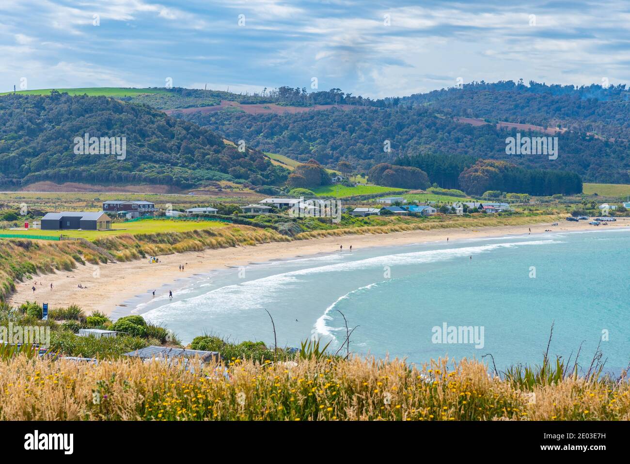 Curio bay beach at Caitlins region of New Zealand Stock Photo - Alamy