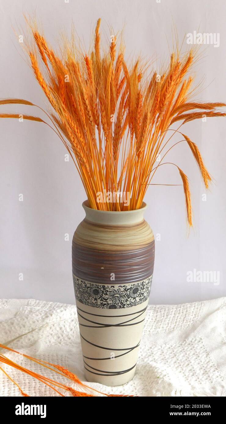 Golden wheat ears in antique ceramic pot decorated on white background ...