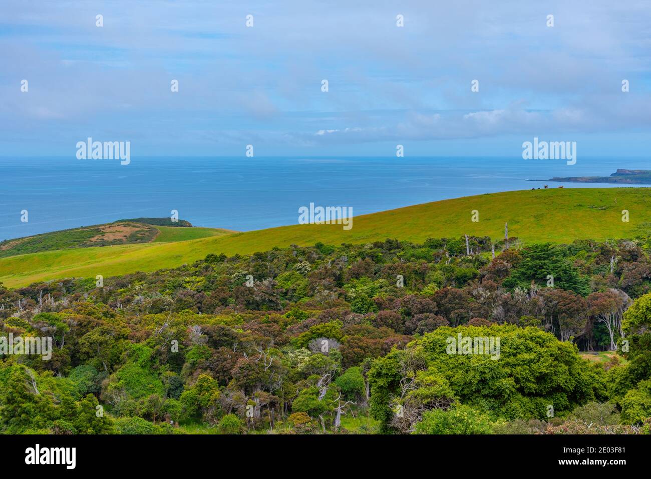 Tahakopa bay hi-res stock photography and images - Alamy
