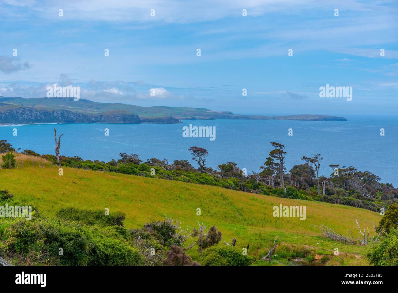 Tahakopa bay at Caitlins region of New Zealand Stock Photo - Alamy