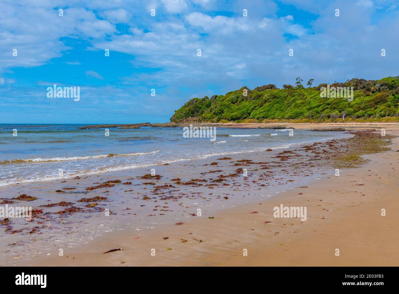 Tahakopa bay hi-res stock photography and images - Alamy