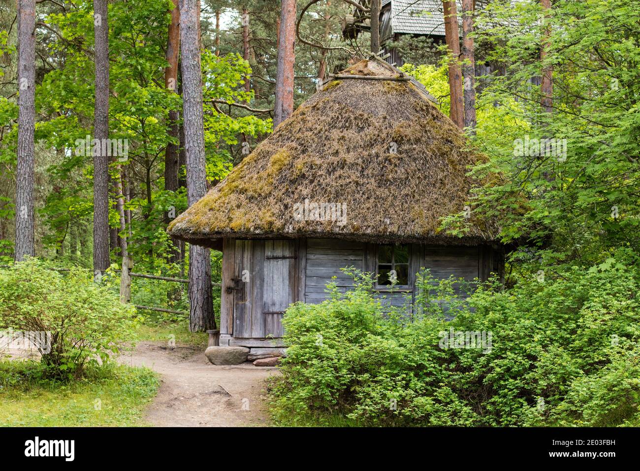 Traditional old wooden baltic house in magic green woods, Latvia Stock ...