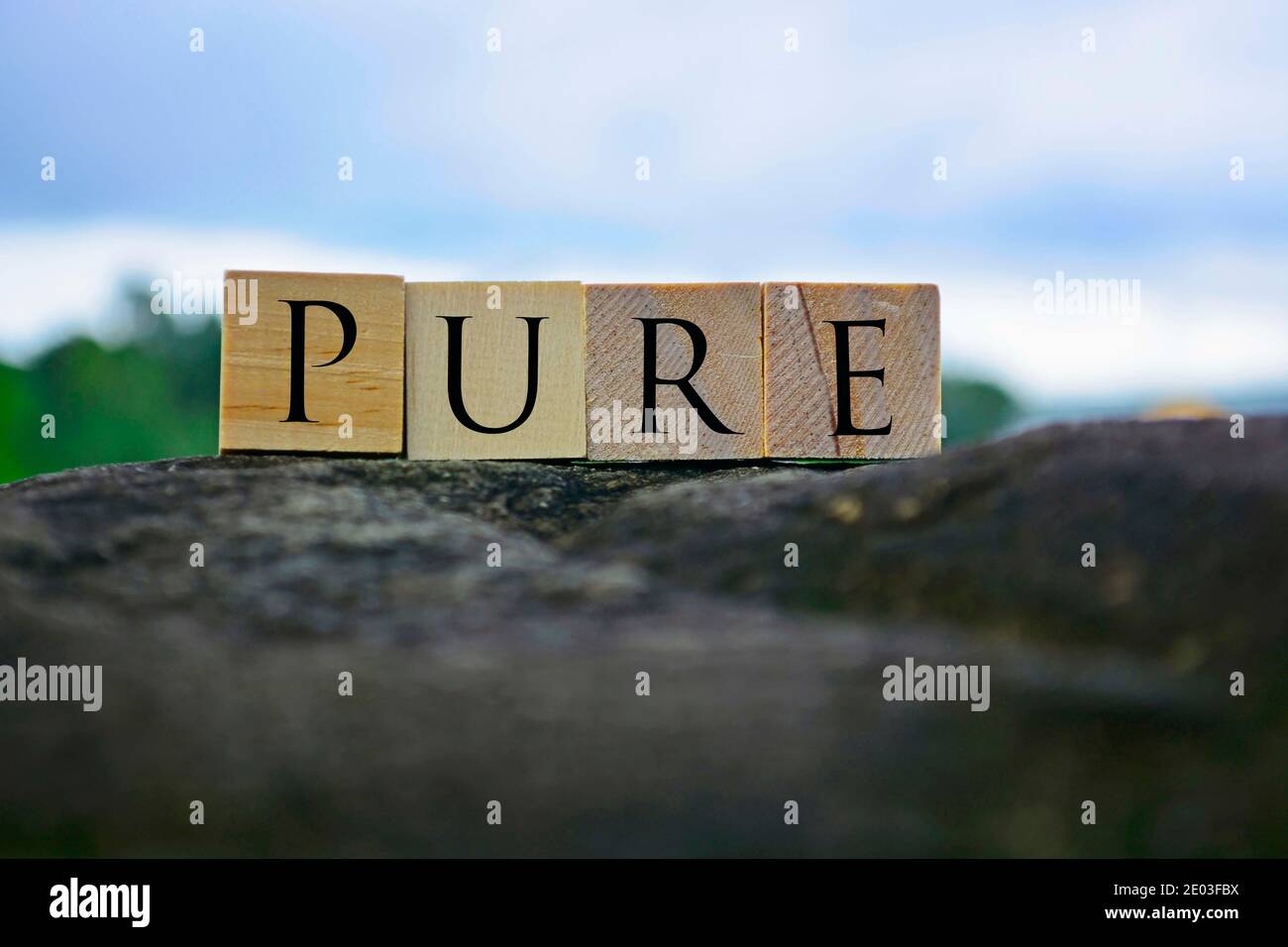 Pure text on wooden cube block on top of big stone with blurred green ...