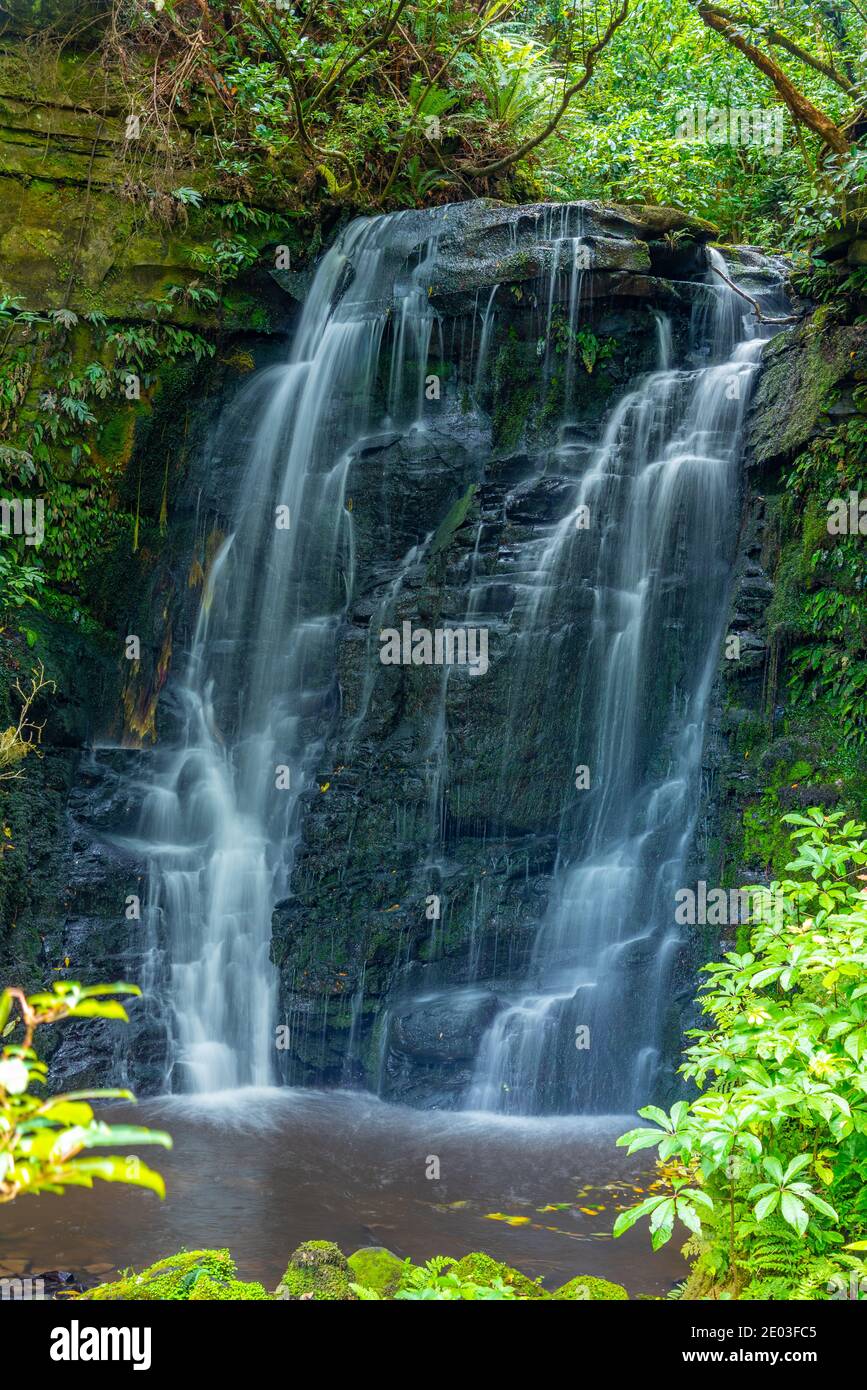 Tahakopa bay hi-res stock photography and images - Alamy