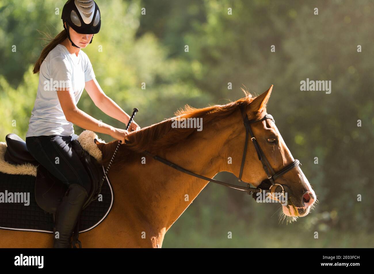 Young pretty girl riding a horse Stock Photo - Alamy