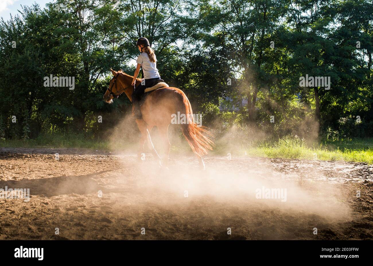 Young pretty girl riding a horse Stock Photo - Alamy