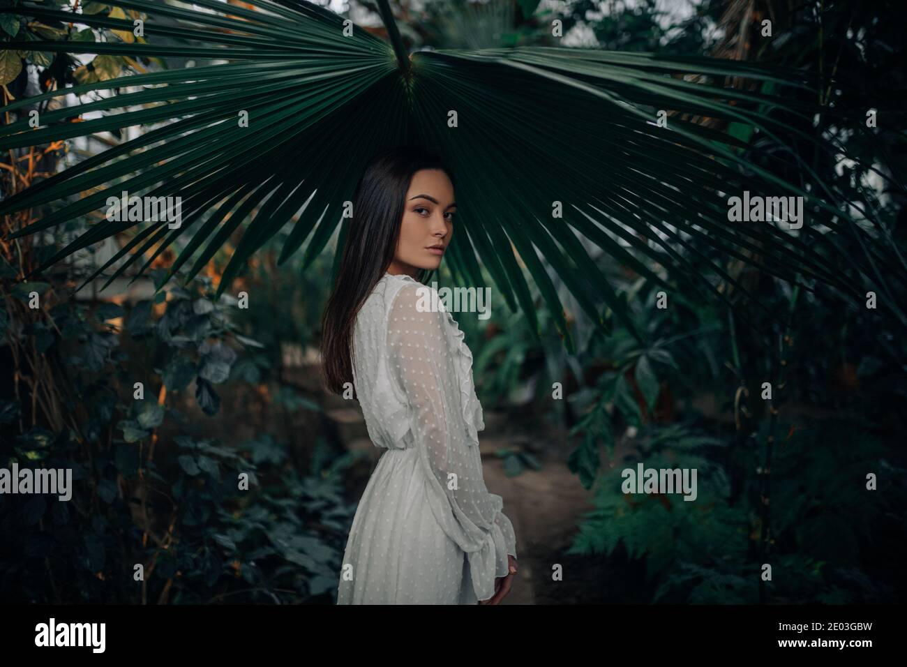 Portrait of young woman under big leaf of palm tree inside orangery ...