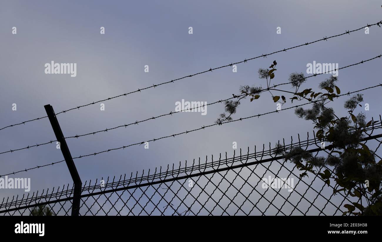Barbed wire fence, protective nets around the prison under the dark sky ...