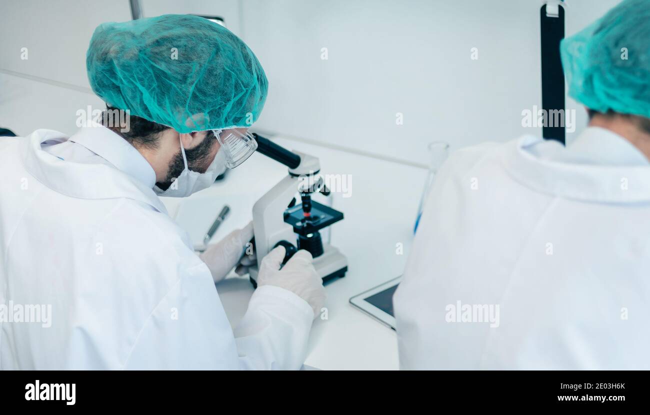rear view. scientist sitting at a Desk in the laboratory Stock Photo ...