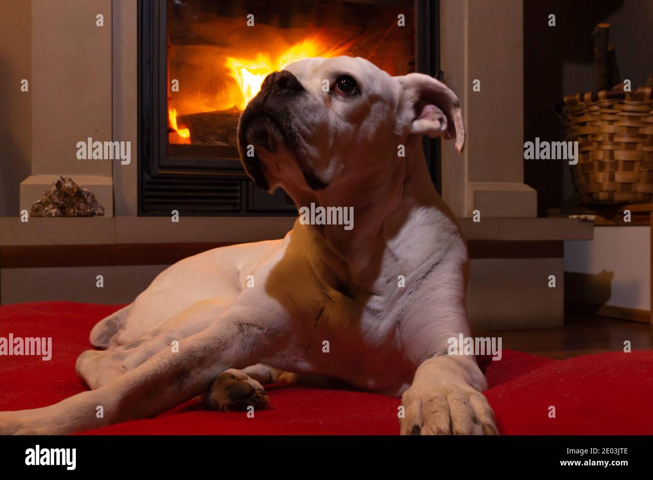 Burning down house hi-res stock photography and images - Alamy