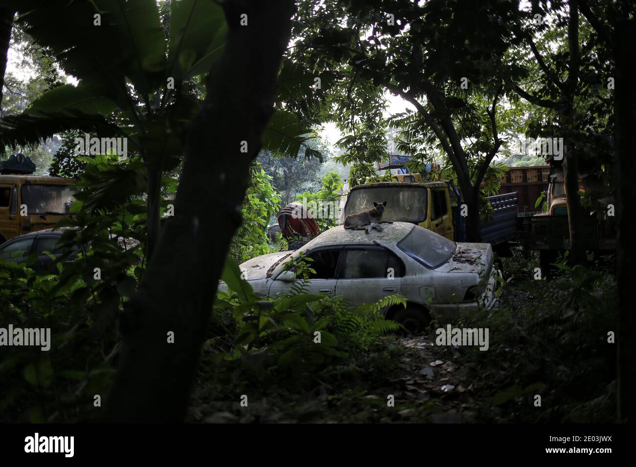 Dumping zone hi-res stock photography and images - Alamy