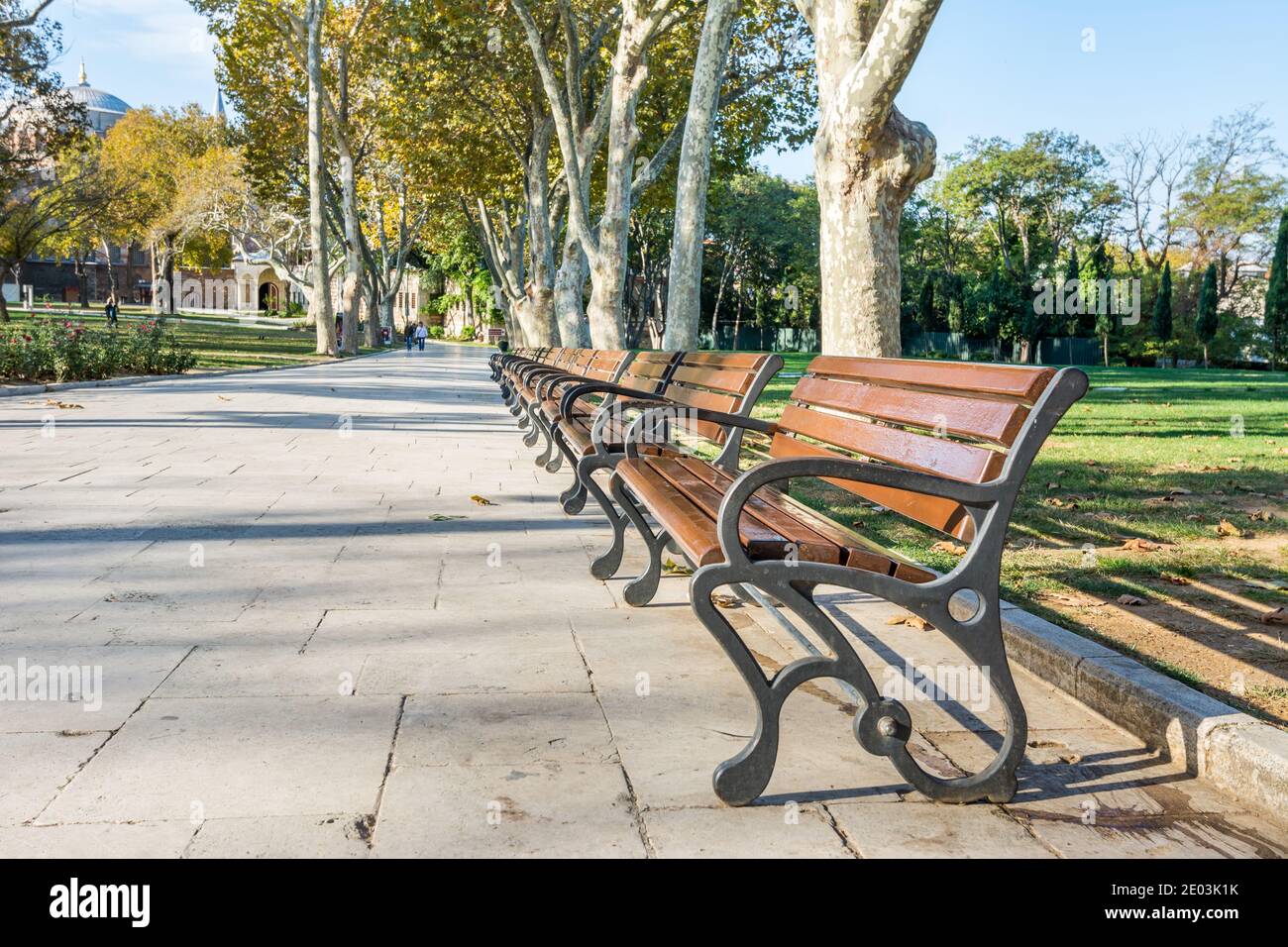 Long benches and meadow and golden tree in the park Topkapi Palace in ...