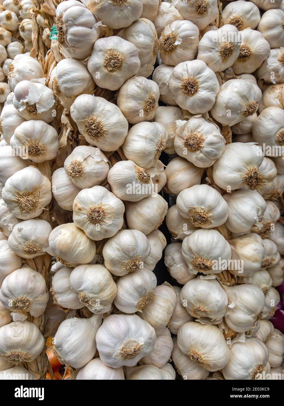 Strings of garlic bulbs hi-res stock photography and images - Alamy