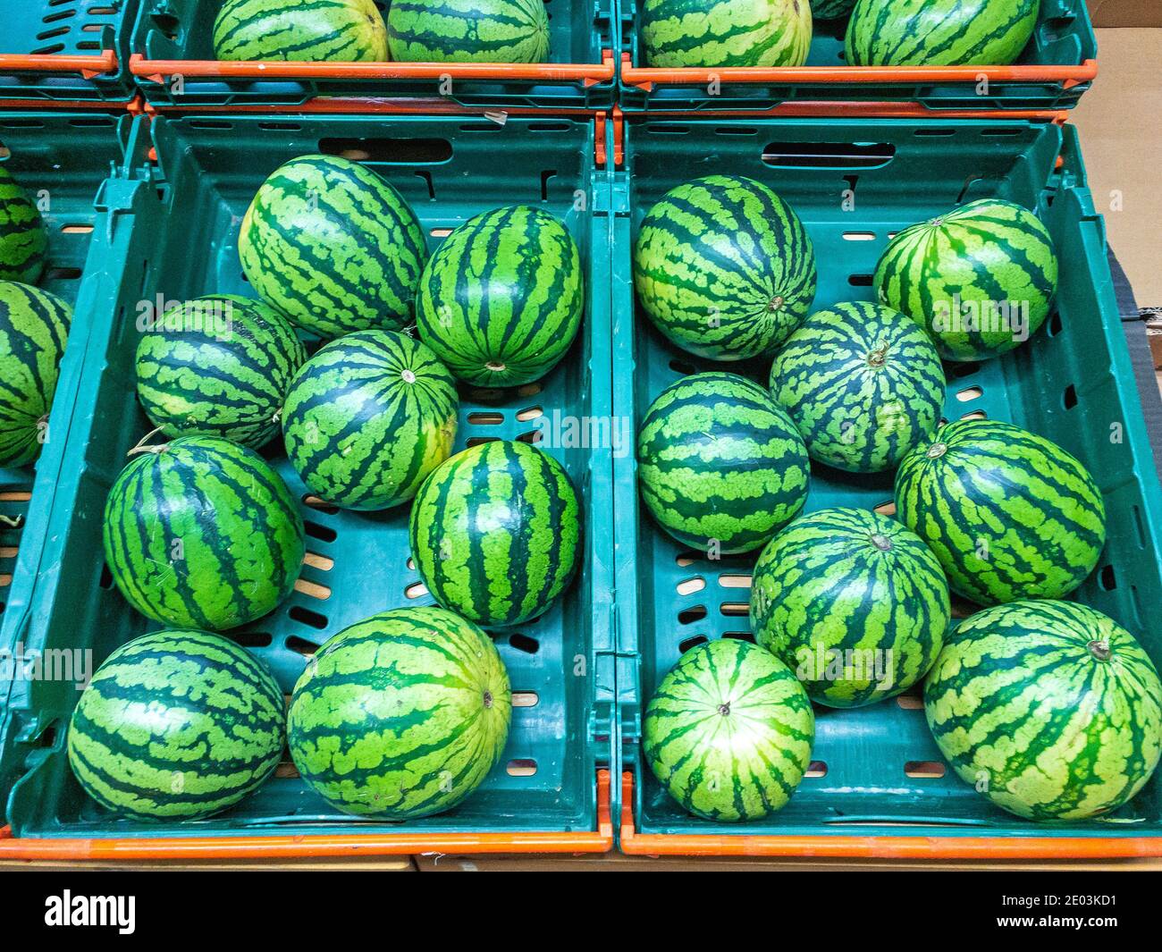 Watermelons watermelon crates crate hi-res stock photography and images ...