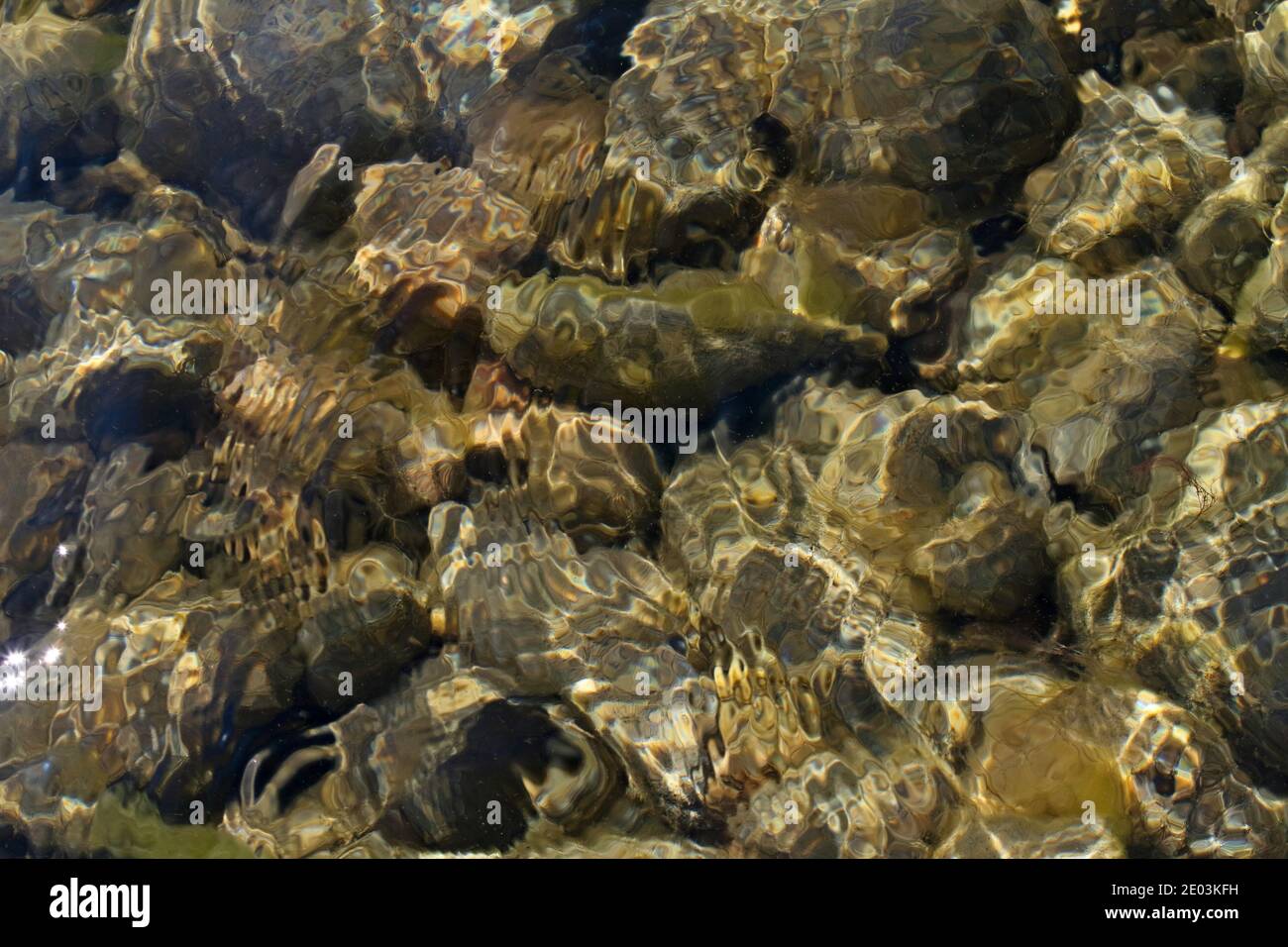 Stones in bottom of sea shore trough very clear water Stock Photo - Alamy