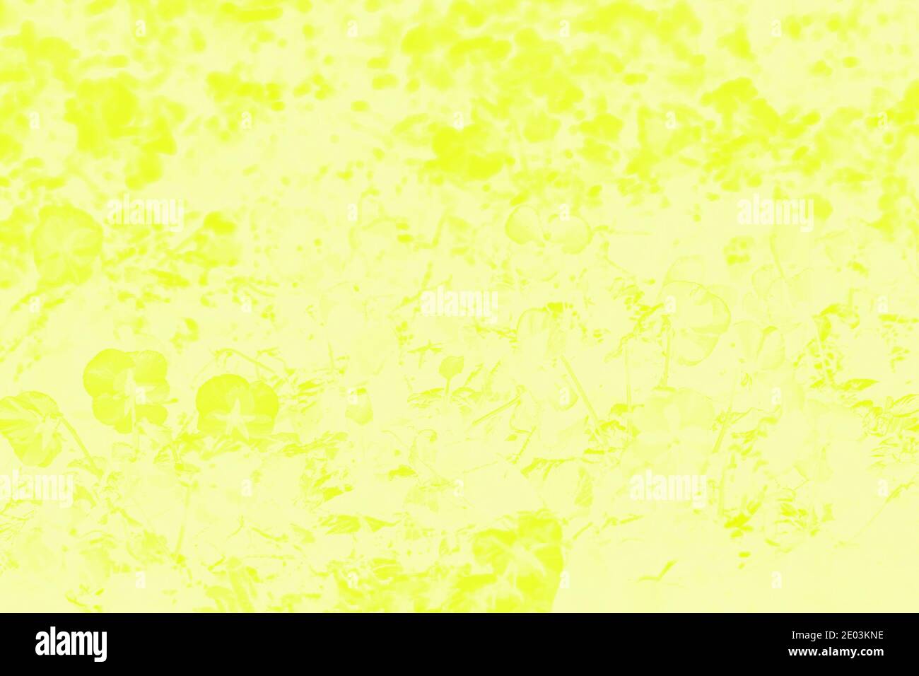 Trendy green sheen color background with flower pattern Stock Photo - Alamy