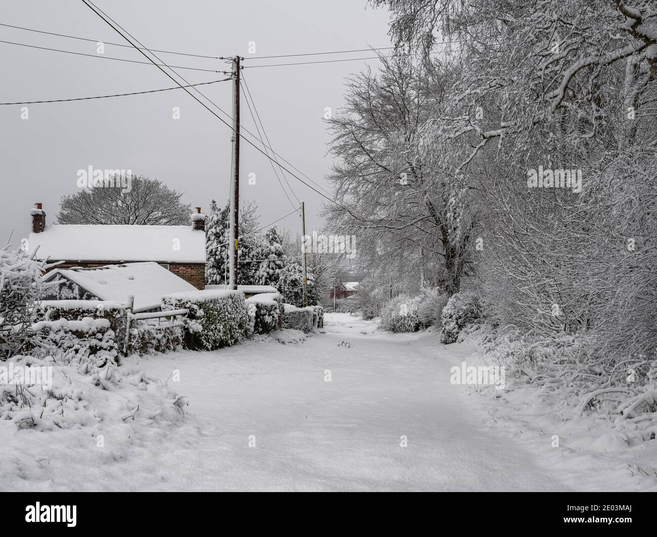 Christmas winter scene uk hi-res stock photography and images - Alamy