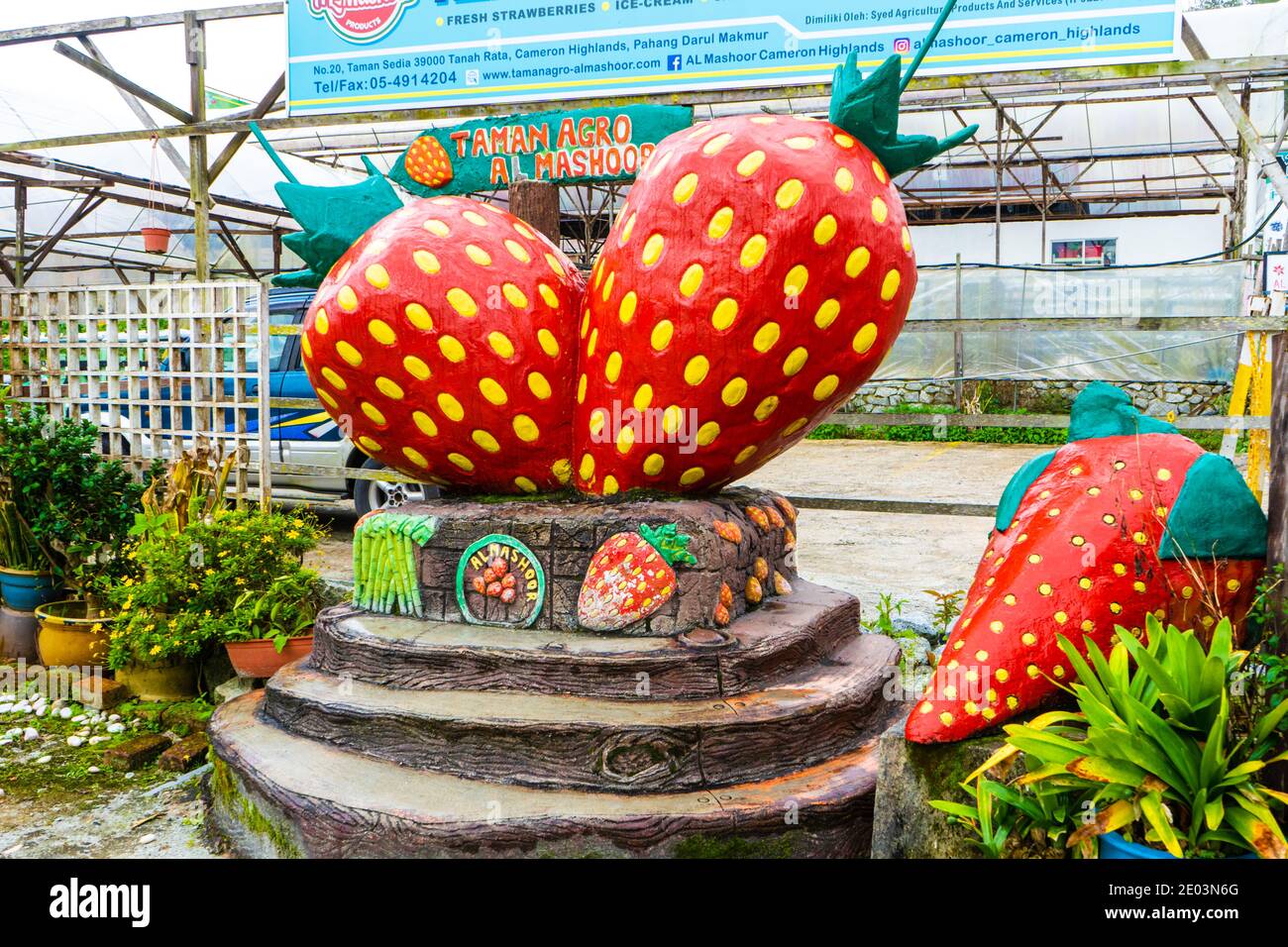 A sculpture of a huge ripe strawberry in the strawberry farm area in ...