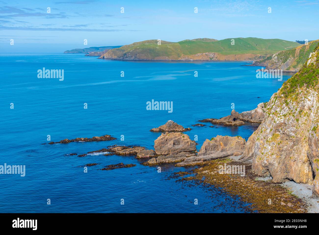 Roaring bay at Catlins region of New Zealand Stock Photo - Alamy