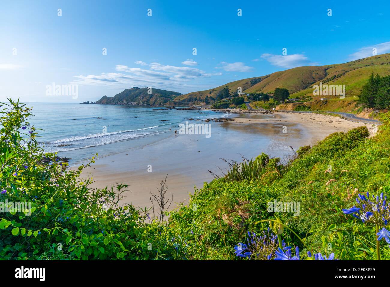 Kaka point hi-res stock photography and images - Alamy