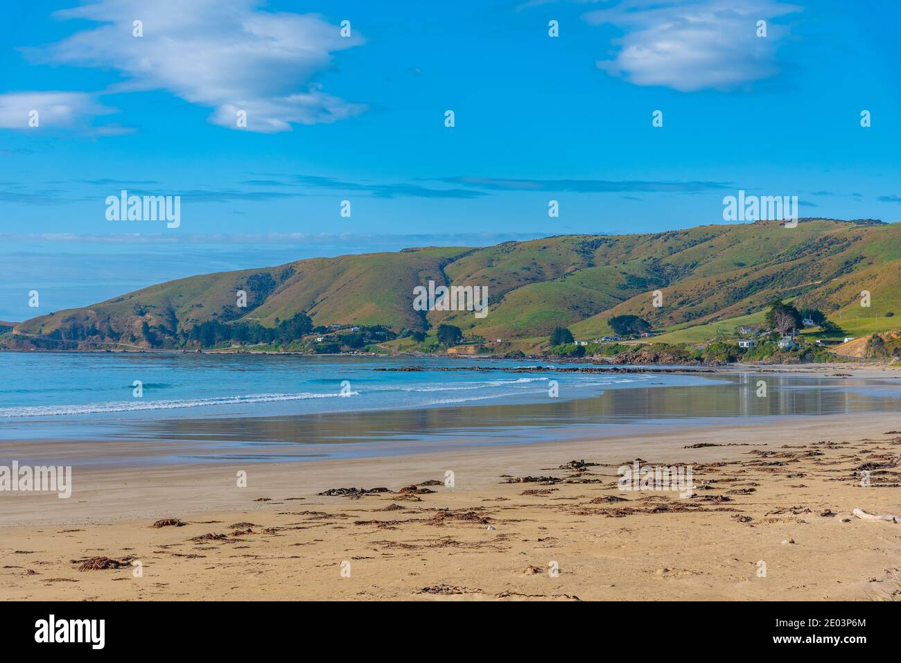 Beach at Kaka point in New zealand Stock Photo - Alamy