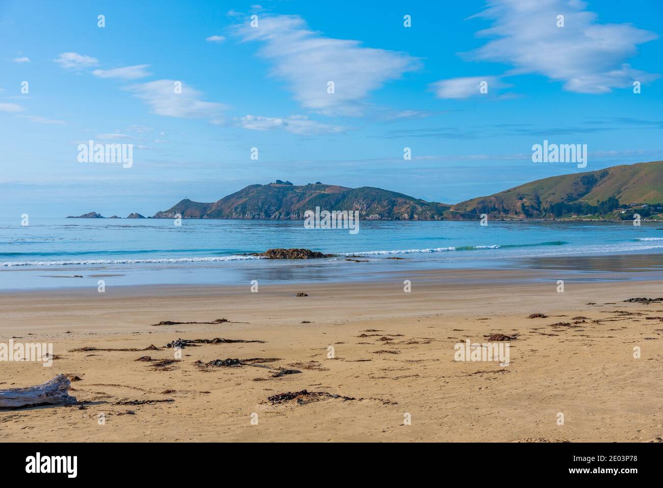 Kaka point hi-res stock photography and images - Alamy