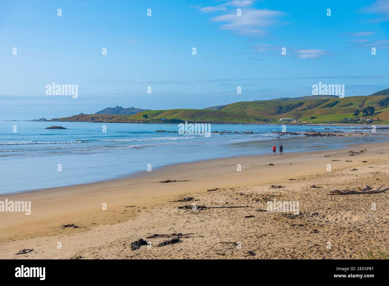 Beach at Kaka point in New zealand Stock Photo - Alamy