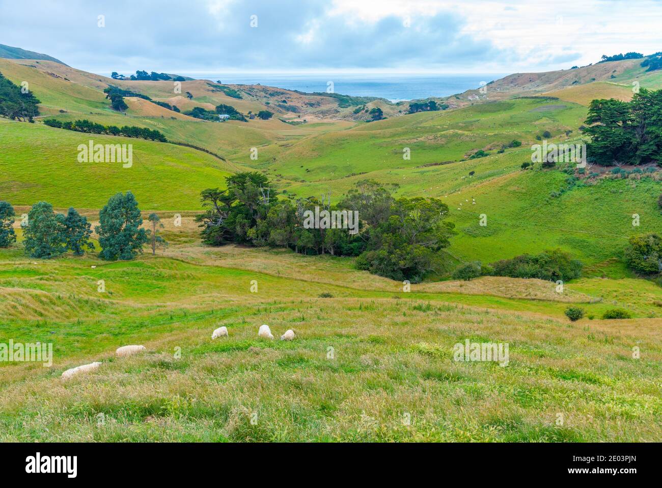 Otago peninsula hike new zealand hi-res stock photography and images ...