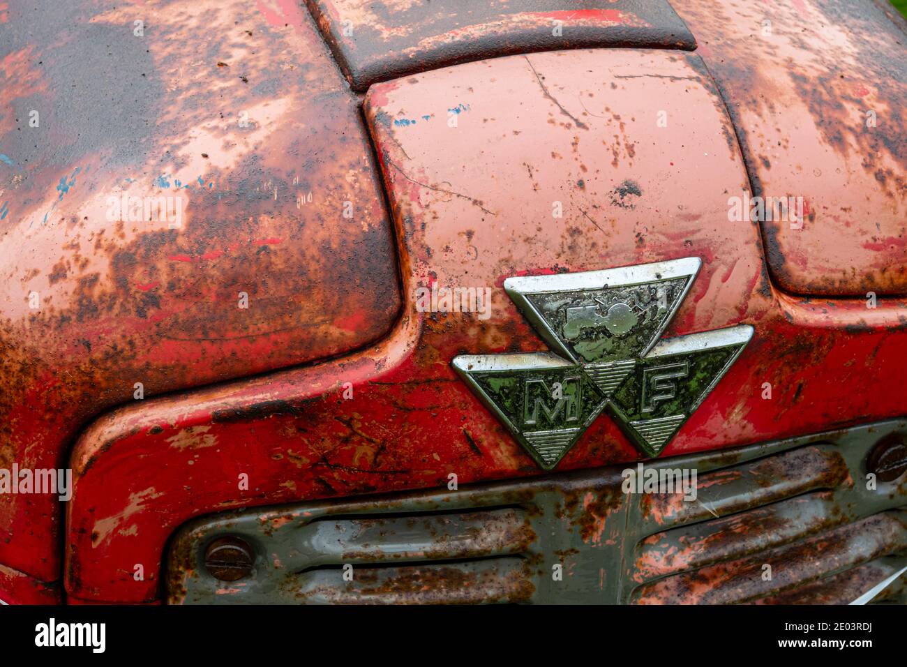 Antique Massey Ferguson tractor at a vintage tractor rally in North ...