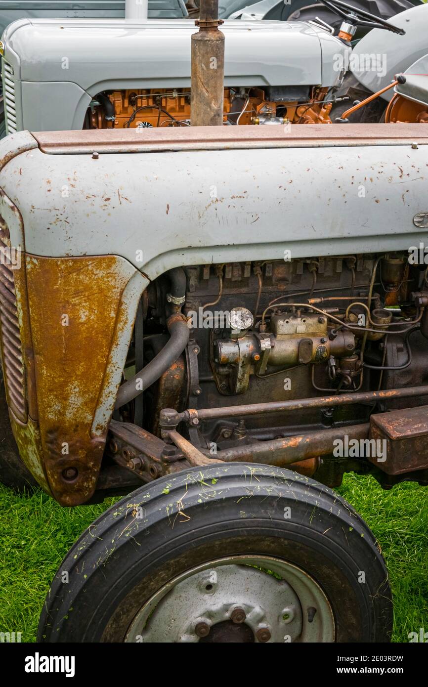 Antique grey Ferguson Little Grey Fergie tractor at a vintage tractor ...