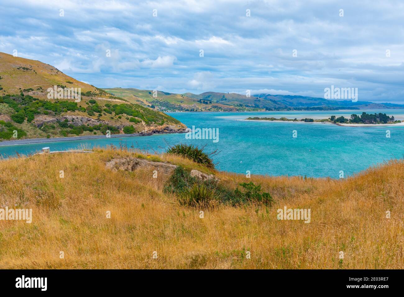Landscape of Otago peninsula near Dunedin, New Zealand Stock Photo - Alamy