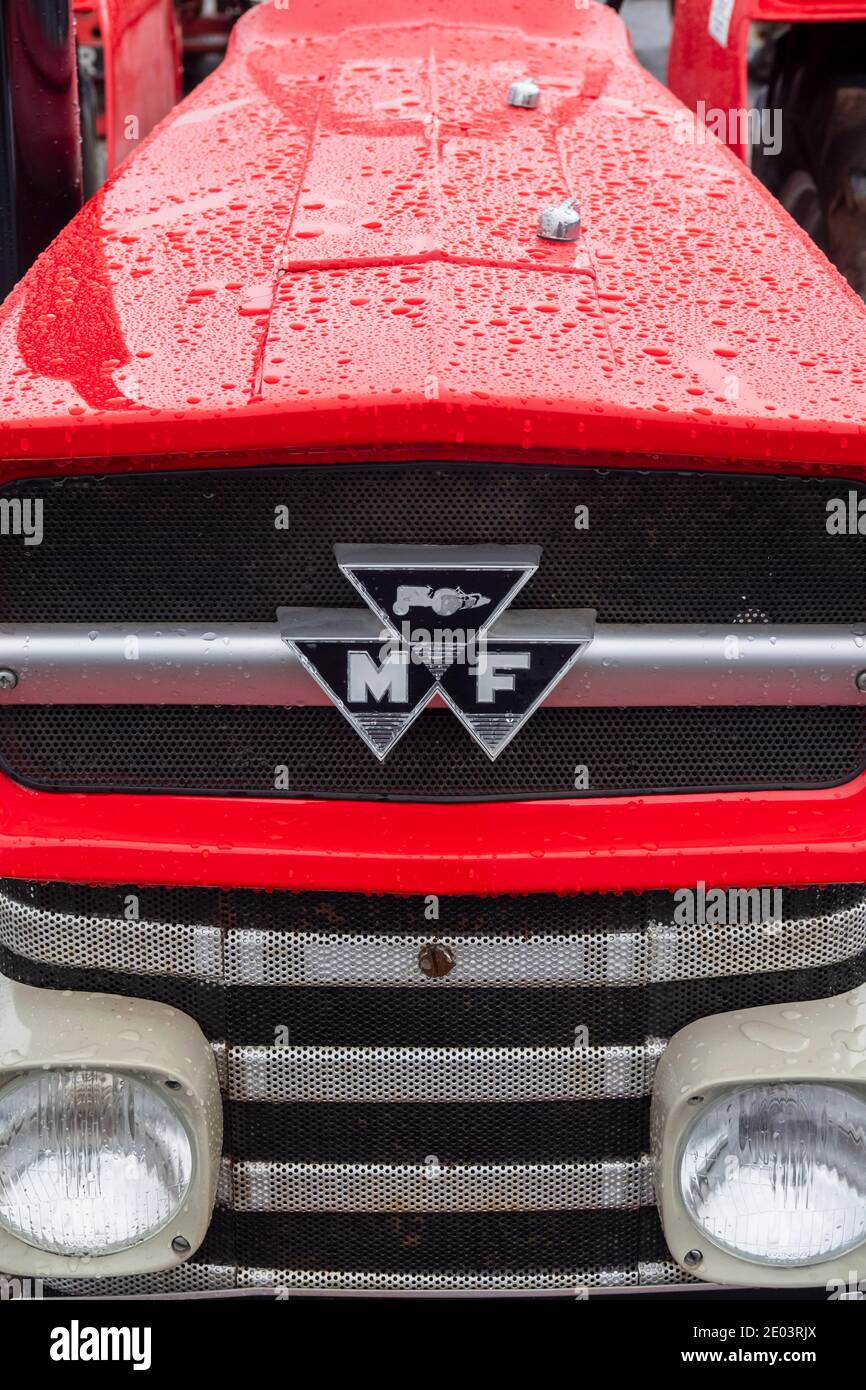 Antique Massey Ferguson tractor at a vintage tractor rally in North ...