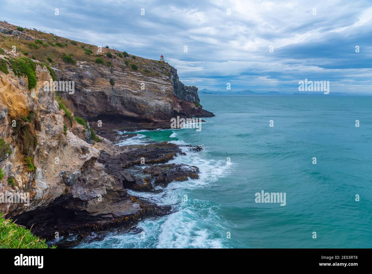 Taiaroa head at Otago peninsula, New Zealand Stock Photo - Alamy