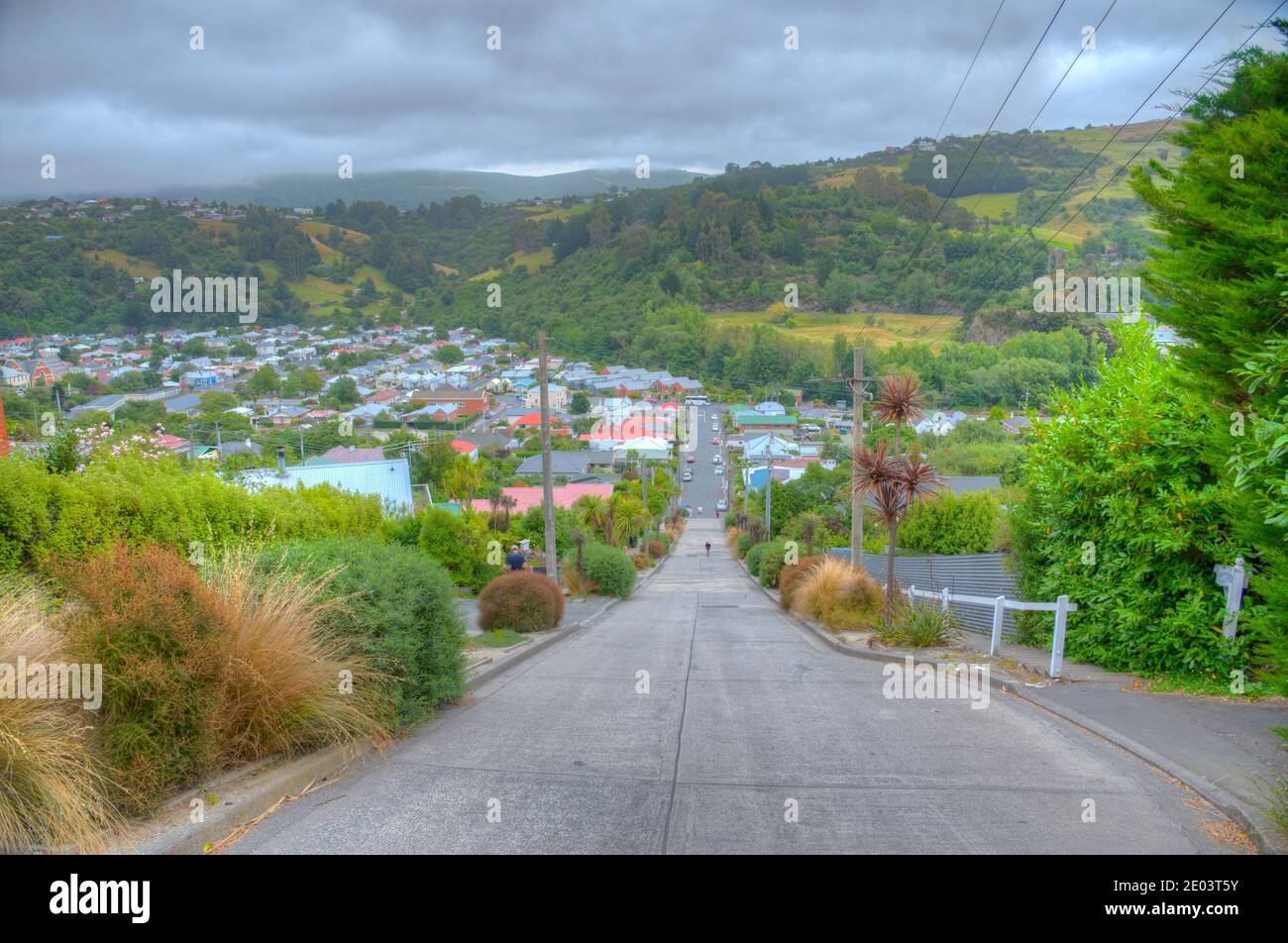 Baldwin street - the world's steepest street, in Dunedin, new Zealand ...