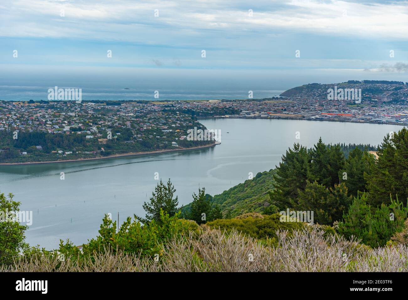Aerial view dunedin in hi-res stock photography and images - Alamy
