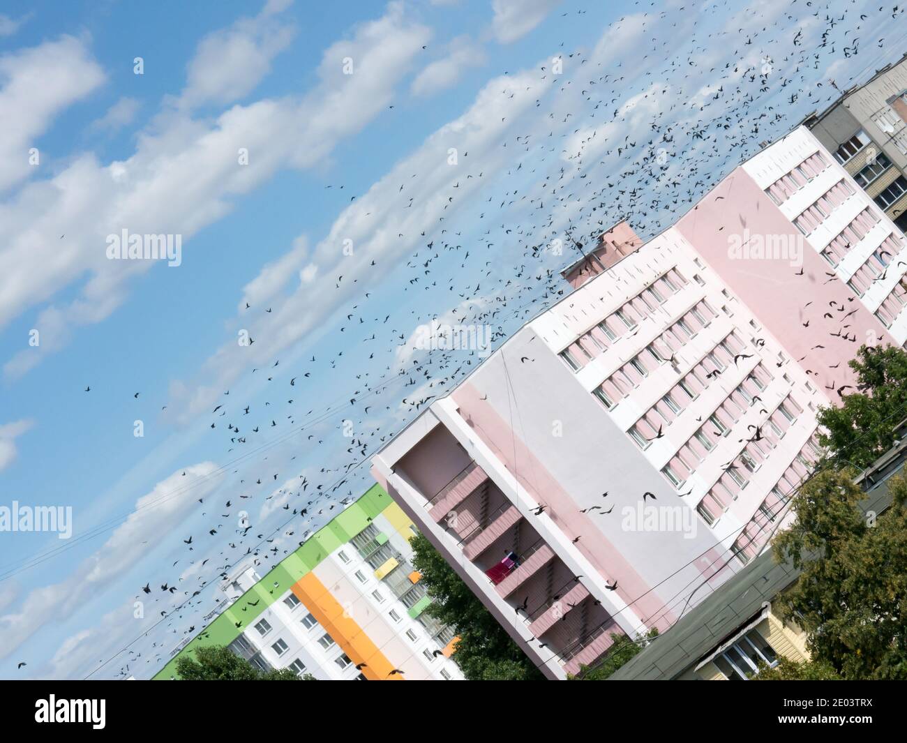 The Architecture objects and birds. Constructivist style Stock Photo ...