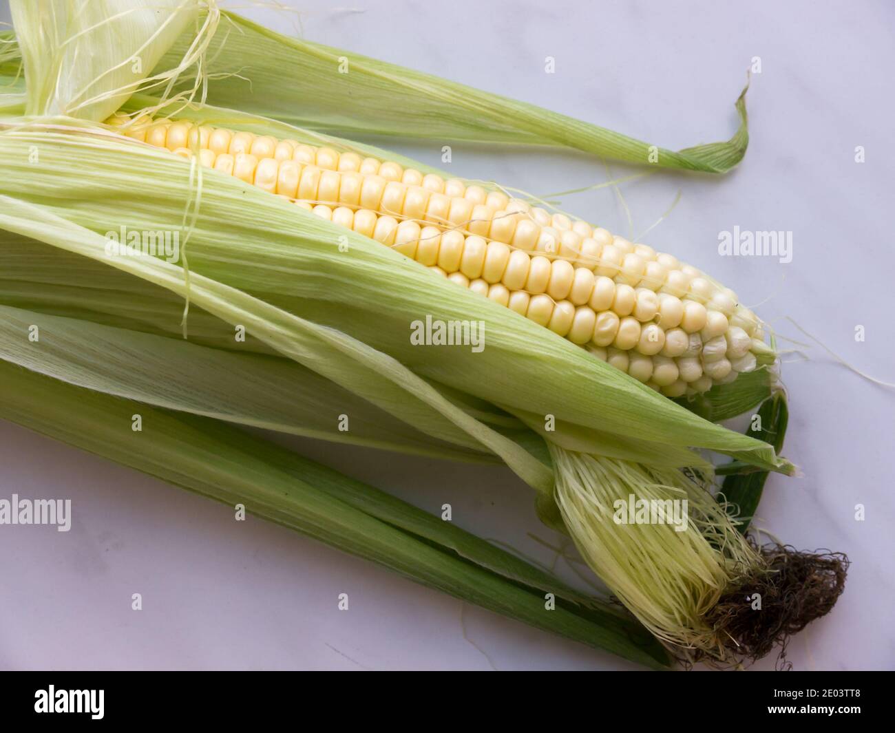 Taino people food hi-res stock photography and images - Alamy