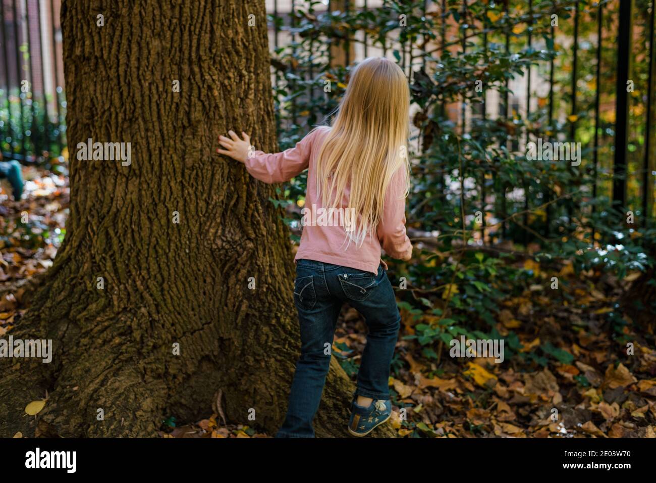 Little girl with long blonde hair looking behind tree Stock Photo - Alamy