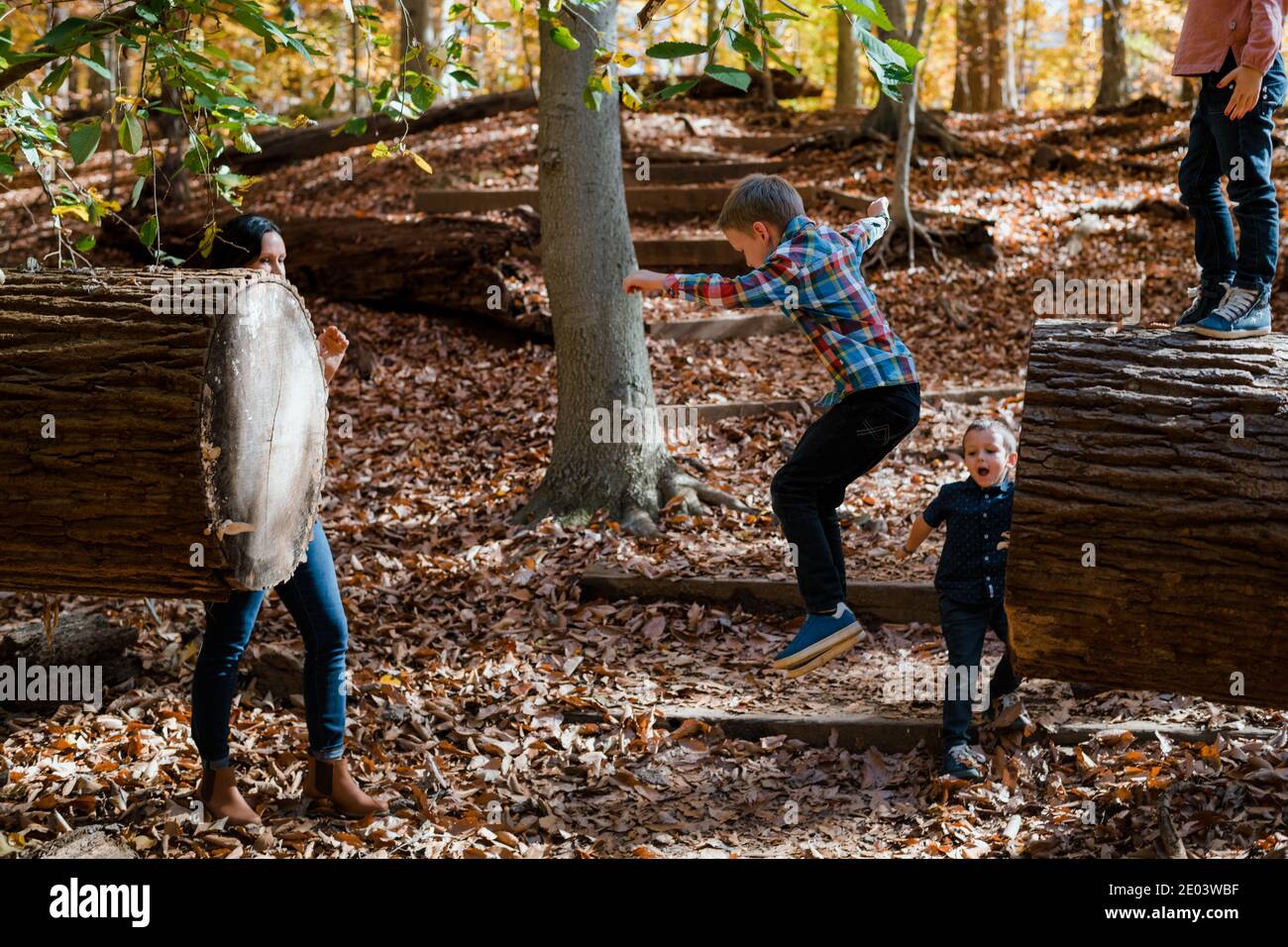 Kids jumping from tree and playing in forest Stock Photo - Alamy