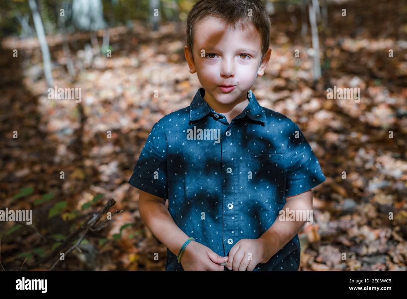 Shadows from trees outside hi-res stock photography and images - Alamy