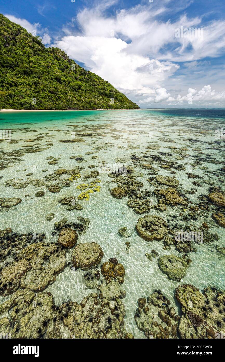 Shallow water close to an island off the coast of Semporna, Sabah ...