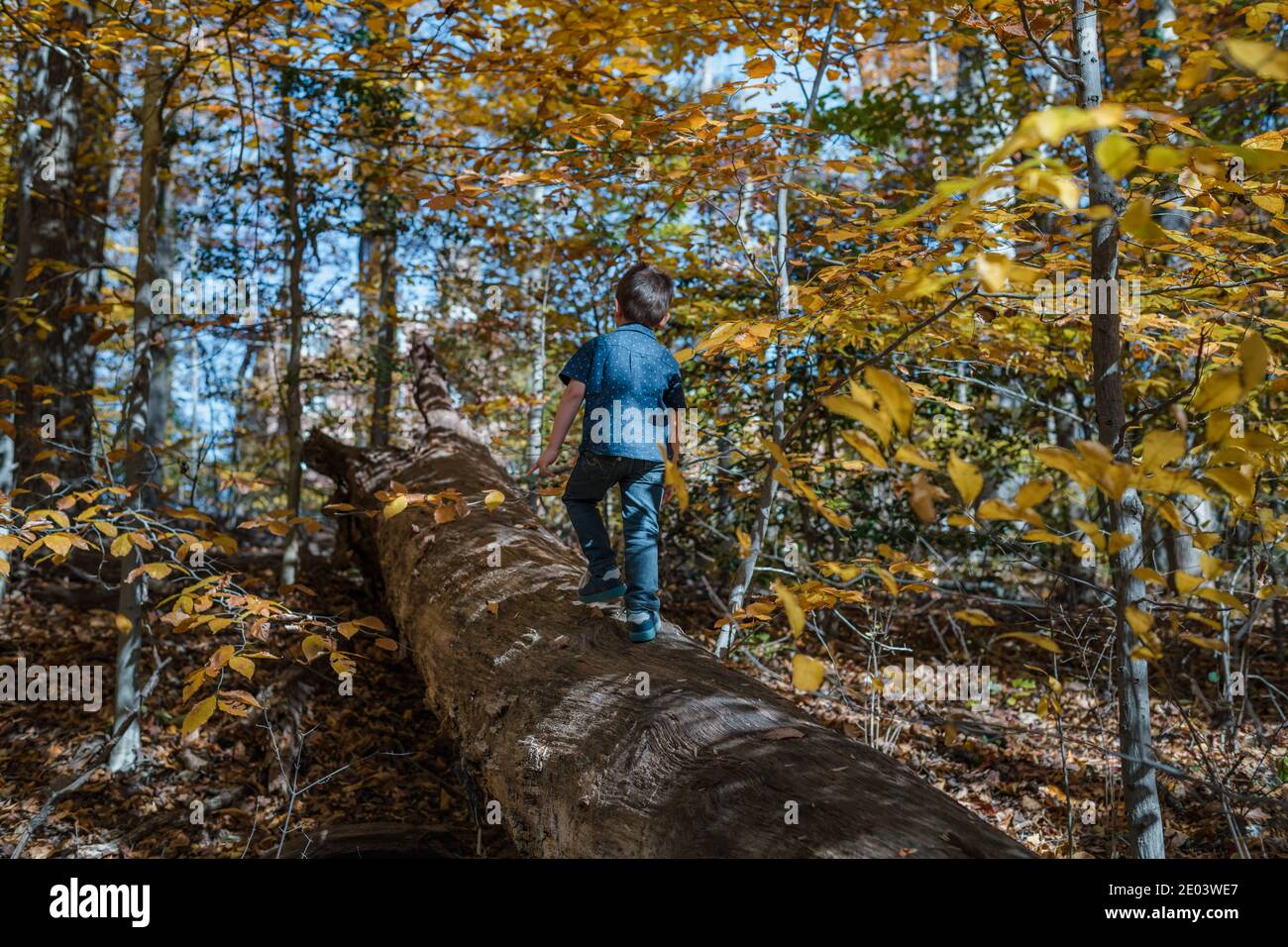 Boy balancing on log hi-res stock photography and images - Alamy