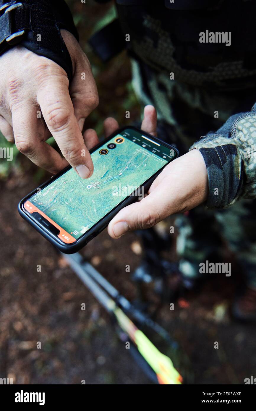 Kevin bear hunting in the Berkshires of Massachusetts Stock Photo - Alamy