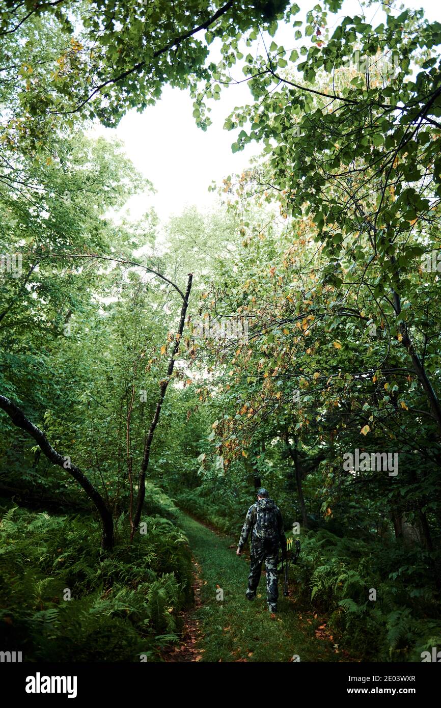 Massachusetts winter bear hi-res stock photography and images - Alamy