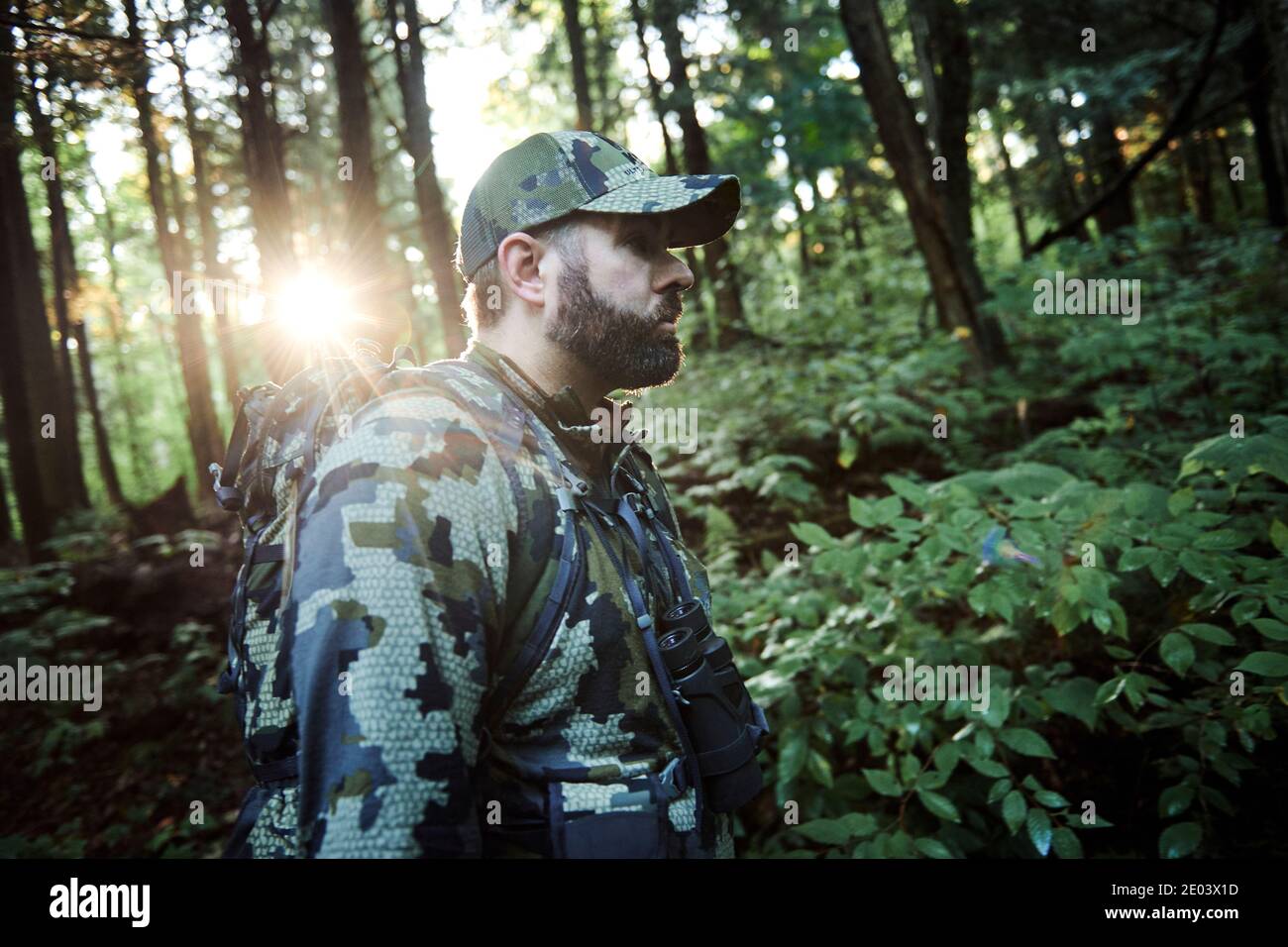 Kevin bear hunting in the Berkshires of Massachusetts Stock Photo - Alamy