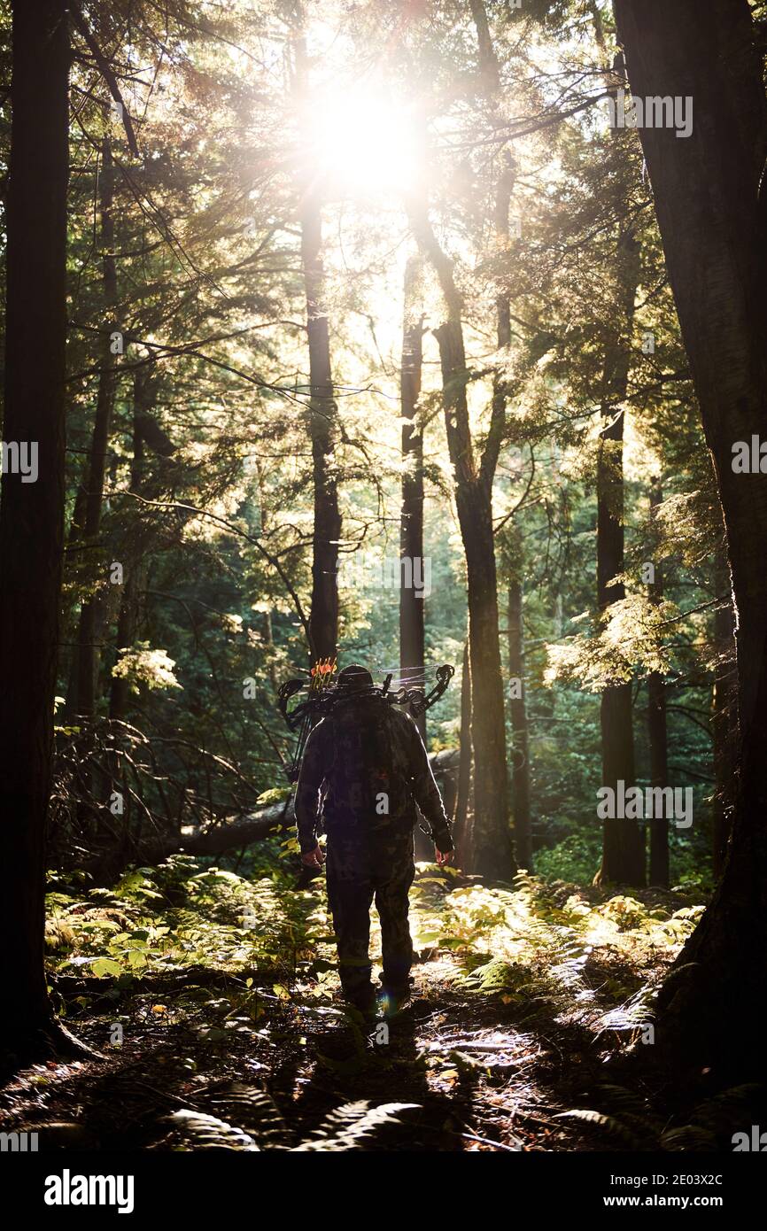 Kevin bear hunting in the Berkshires of Massachusetts Stock Photo - Alamy