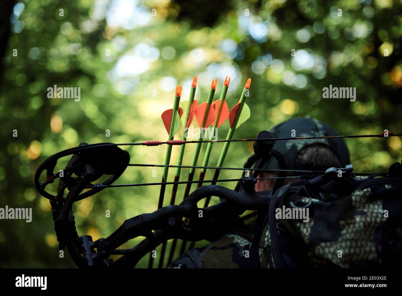Kevin bear hunting in the Berkshires of Massachusetts Stock Photo - Alamy