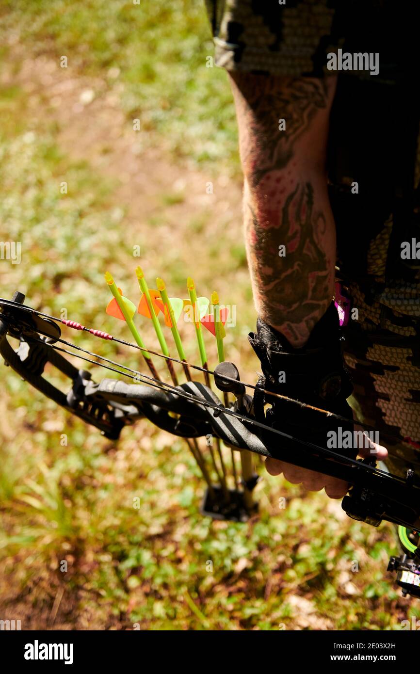 Kevin bear hunting in the Berkshires of Massachusetts Stock Photo - Alamy